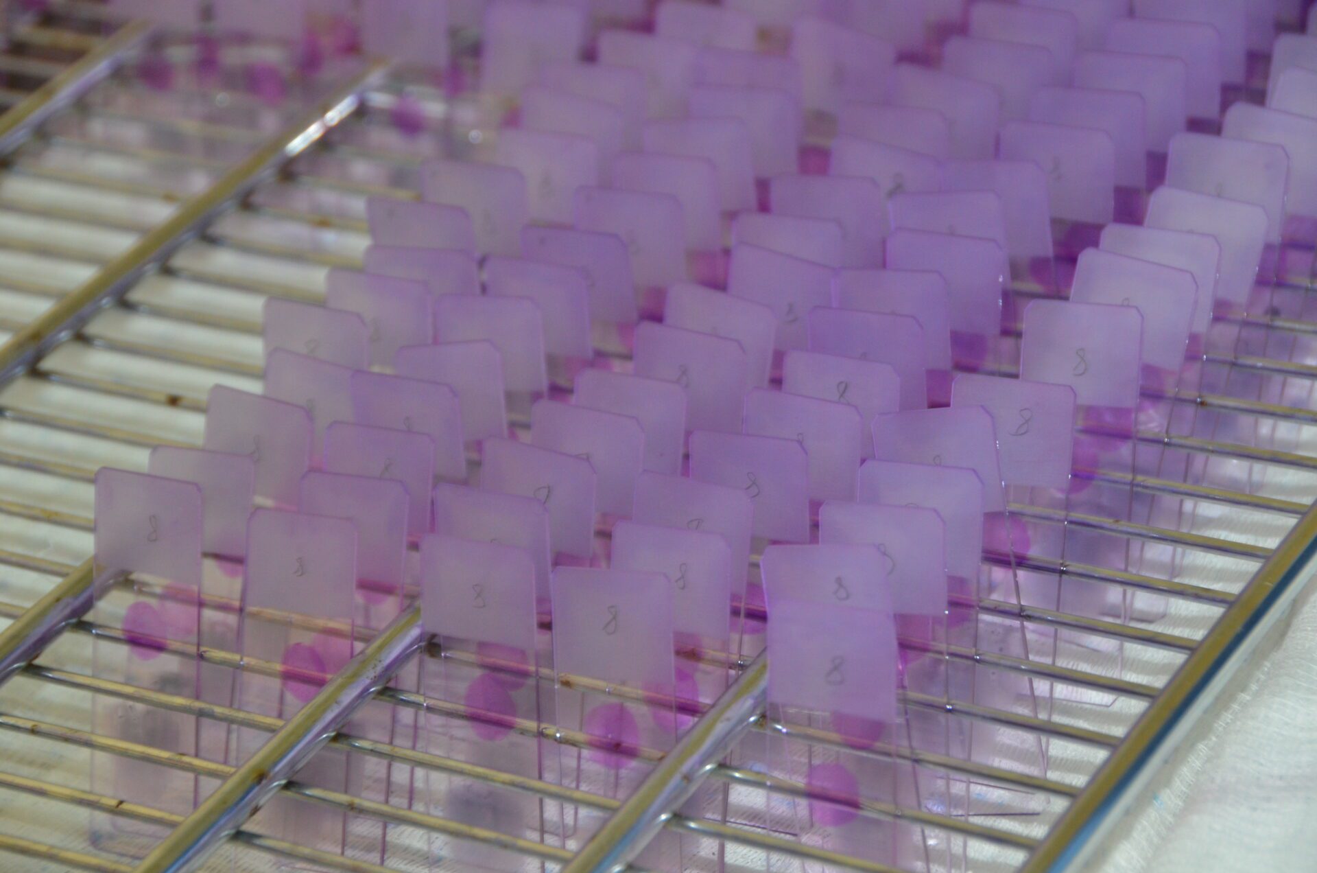 Amref Regional Laboratory Programme’s Malaria Slide Bank - Newsroom