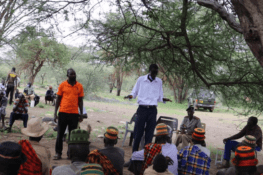 Triumph in Community Vaccination at Chama District, Zambia - Newsroom