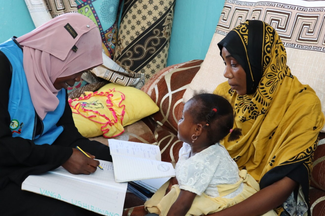 Built from the Ground Up: How 107,000 Community Health Promoters Are ...